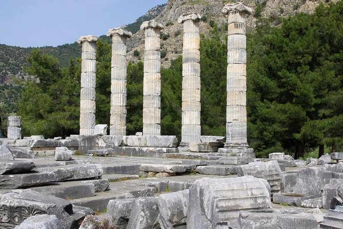 Kusadasi Port to Ephesus, House of Virgin Mary, Temple of Artemis - Exploring the Itinerary in Detail