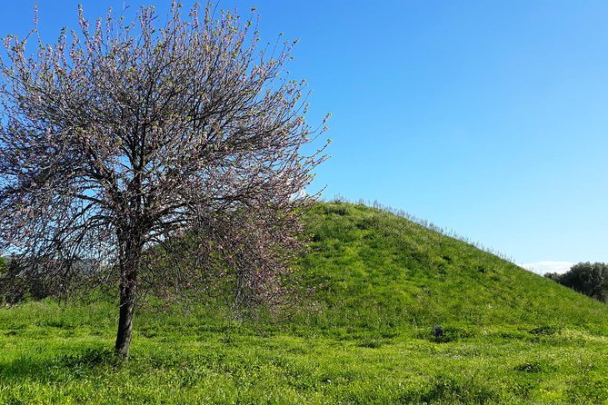 Marathon, Thermopylae/ Herodotus History private tour (9 hours)