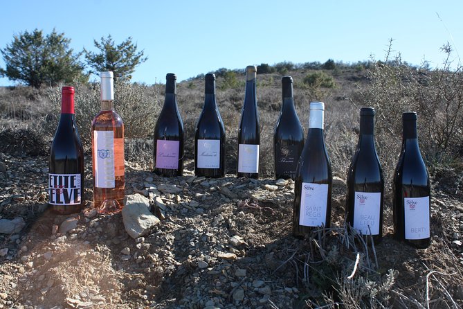 Oenological workshops at La Selve