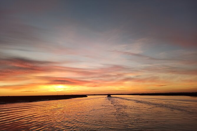Ria Formosa Sunset 1 hour Boat Trip in Faro - The Wildlife Encounters
