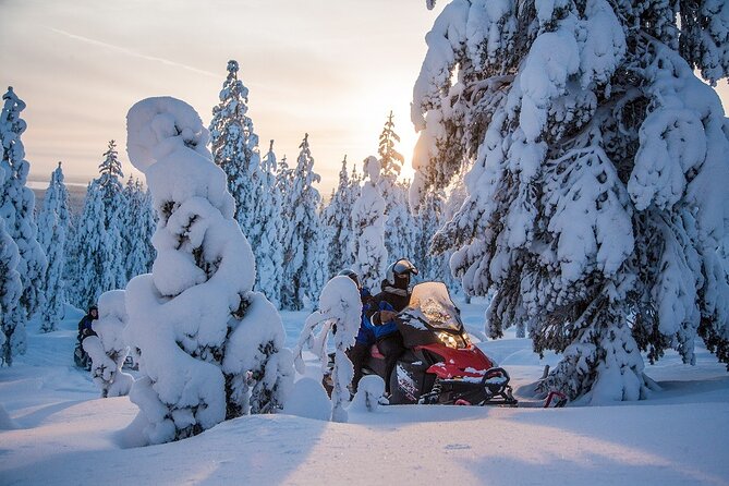 Scenic Snowmobile Safari in Saariselkä - The Value of This Snowmobile Safari