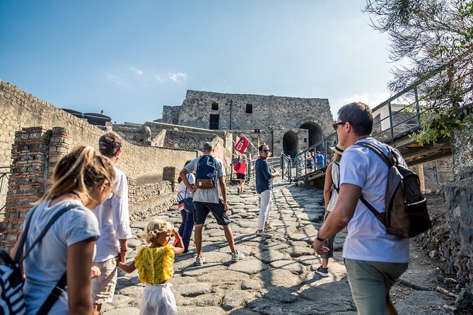 Skip-the-Line Pompeii & Mt. Vesuvius Day Trip from Sorrento - Who Will Love This Tour?