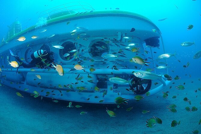 Submarine tour Tenerife: a 1 hour underwater experience