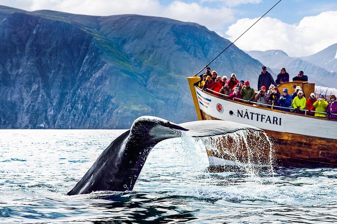 Traditional Oak Ship Whale Watching Tour From Husavik - Key Points