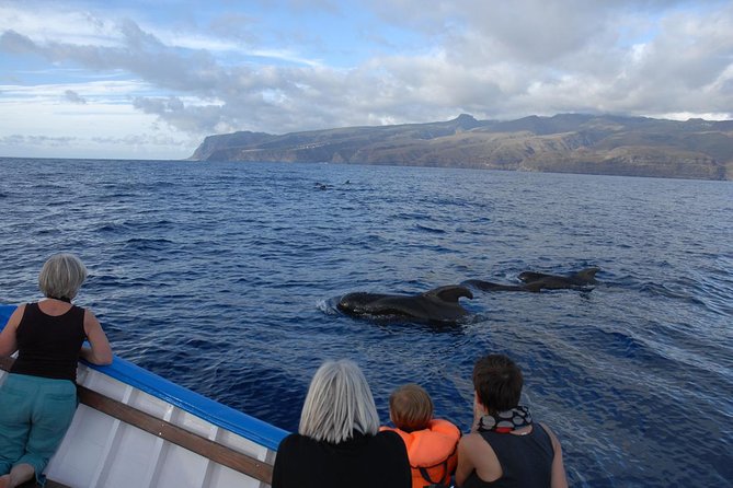 Whalewatching La Gomera