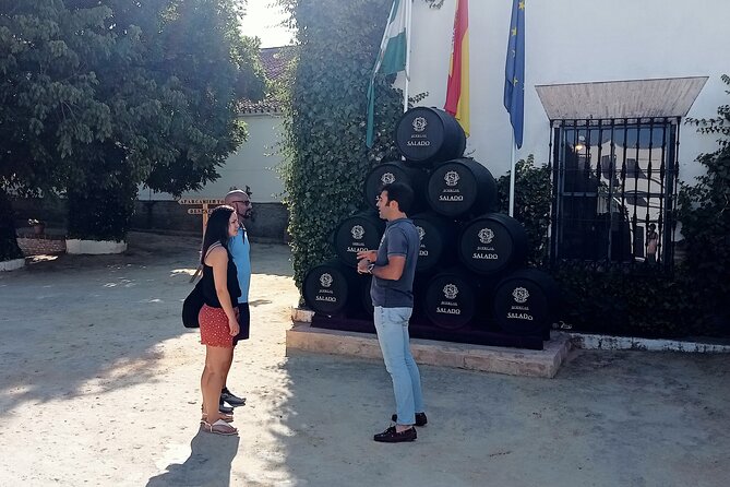 Wine tourism, visit to a traditional winery and wine tasting