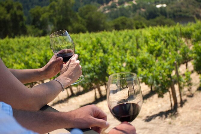 Winery Tour and tasting - Discovering the Parma Hills and Vineyards