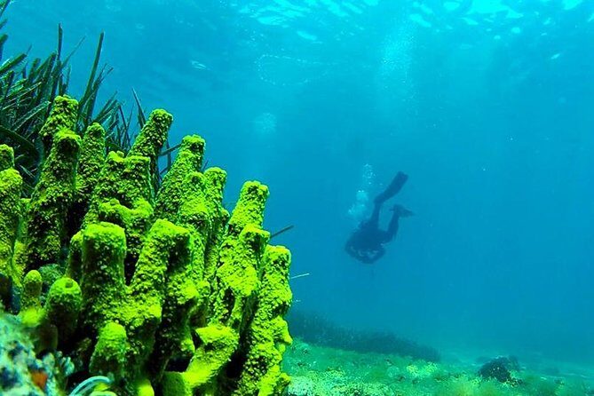 2 Dives Package - Summary: Who Should Consider This Tour?