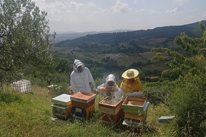 2 hours Beekeeping and Honey Tasting Activities in Assisi - Key Points