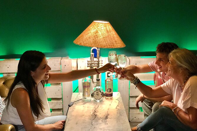 1-Hour Gin Tonics Guided Workshop with special view in Madrid