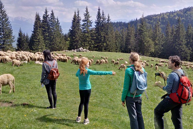 2-Day Transylvania Culture Trek from Brasov - Small Group Tour
