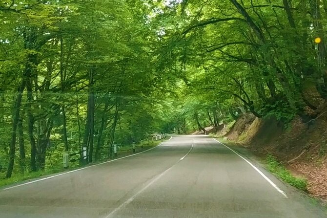 3 Days/2 Nights Vashlovani National Park Tour Package in Georgia