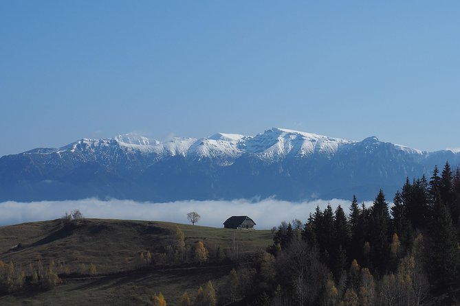 4-Day Carpathian Trek: Bucegi Mountains and Piatra Craiului National Park