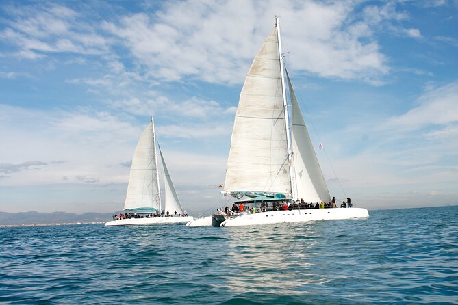 A day at sea from Dénia or Jávea with Barbecue aboard the Catamaran