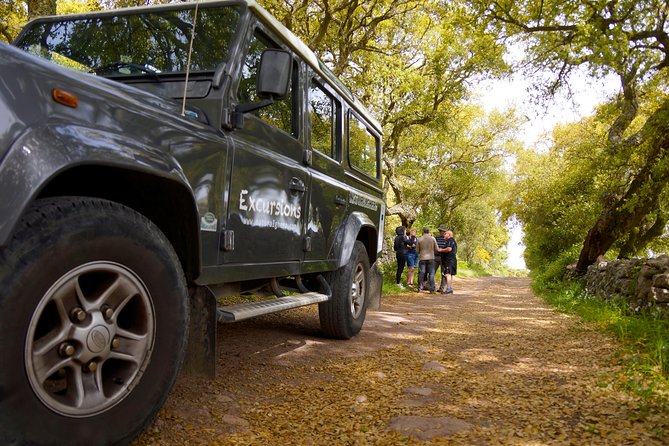 Alghero: Jeep tour to discover nature and breathtaking landscapes