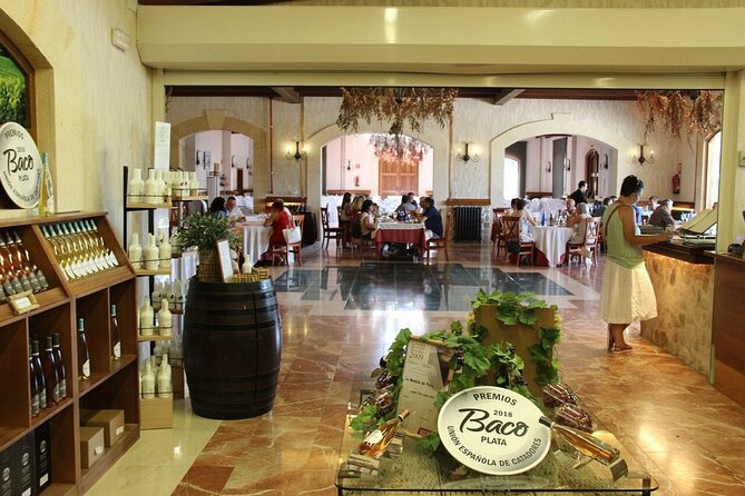 Alicante Old Winery Tour and Wine Tasting Including Transfer