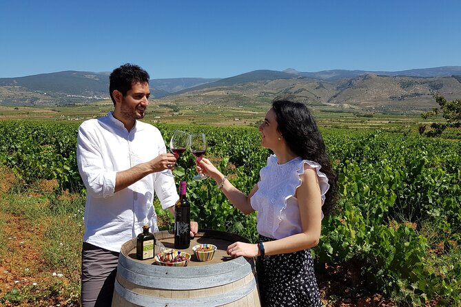 Almería Visit to Eco Winery Cortijo El Cura and wine tasting