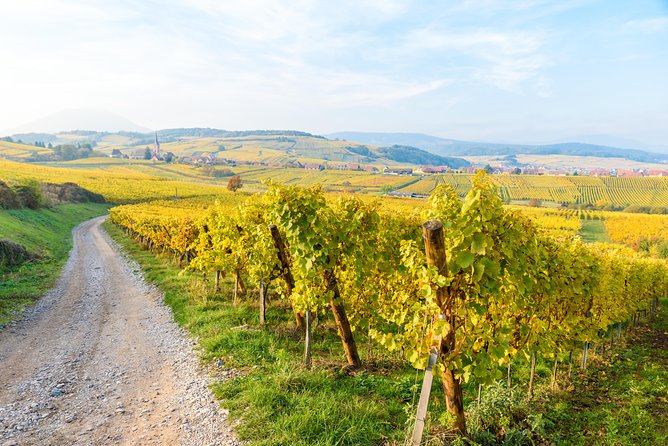 Alsace Wine Route Wineries & Tasting Small Group Guided Tour from Strasbourg