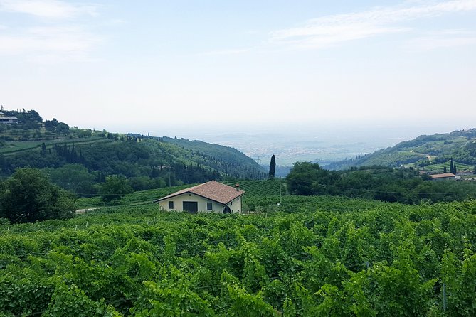 Amarone Wine Tour (all-inclusive full day with lunch and expert wine guide)