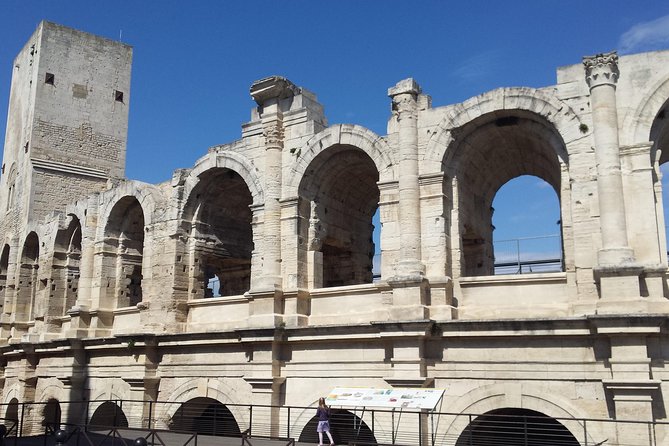 Arles and Camargue Full-Day Tour including Aigues Mortes