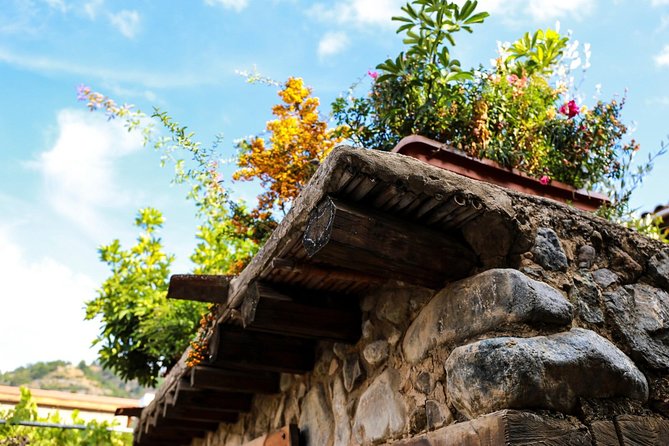 Authentic Gourmet Tour with Wine and Food Tasting from Paphos