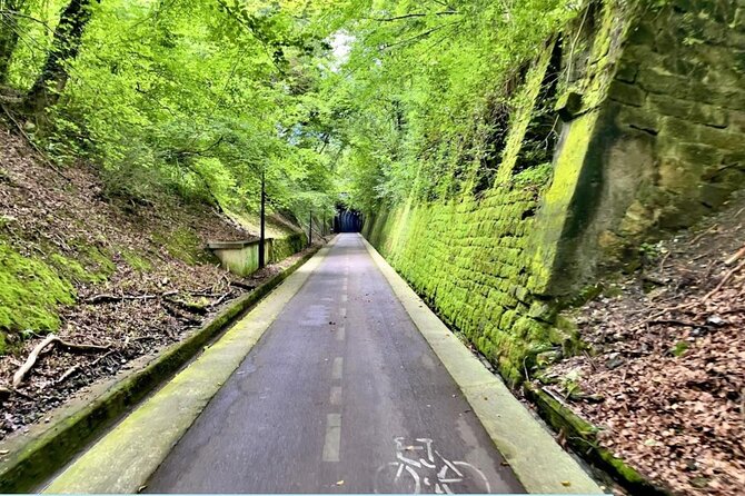 Bike Tour in San Sebastián with FREE pintxo and drink!
