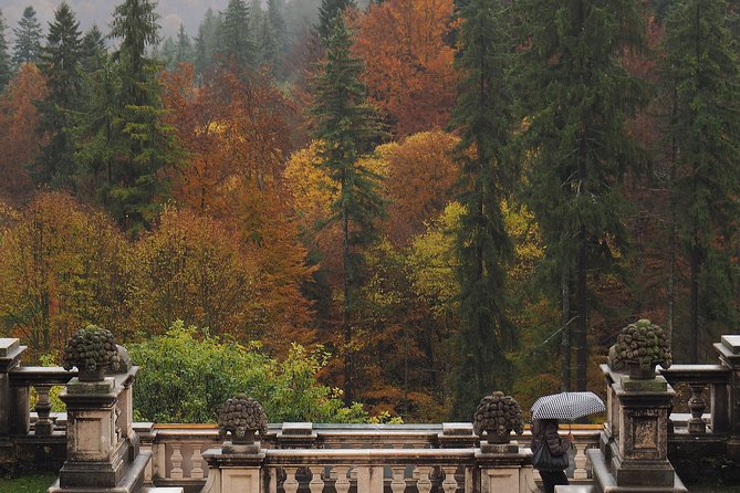 Bran Castle and Rasnov Fortress Tour from Brasov with Entrance Fees Included - Optional Peles Castle Visit