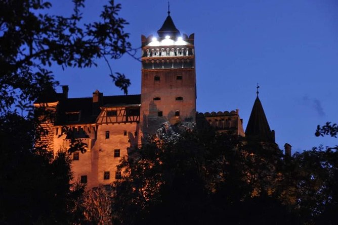 Brasov: Bear Sanctuary, Bran Castle & Rasnov Fortress GUIDED Tour
