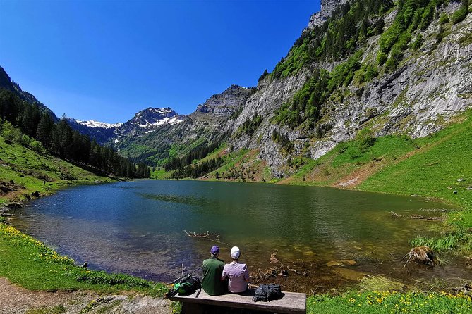 Breathtaking Private Hike with a Local Swiss Expert (1 day trip)
