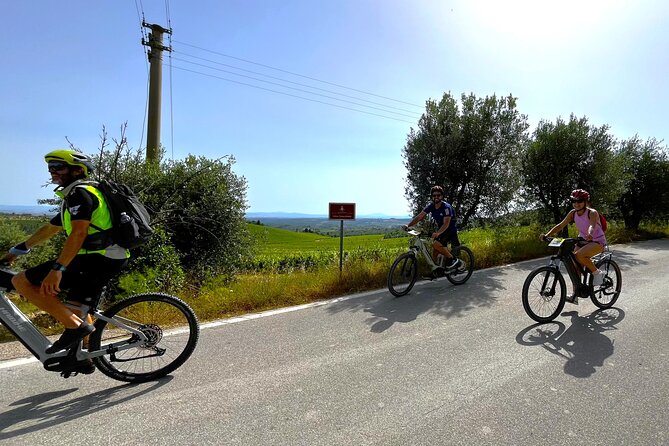 By Ebike: Visit an Art Park and Wine Taste in the Classic Chianti