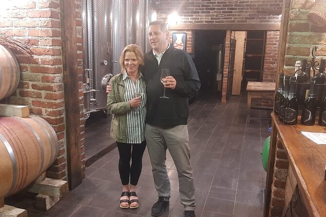 Castle & Wine Tasting - Private Day Trip from Zagreb