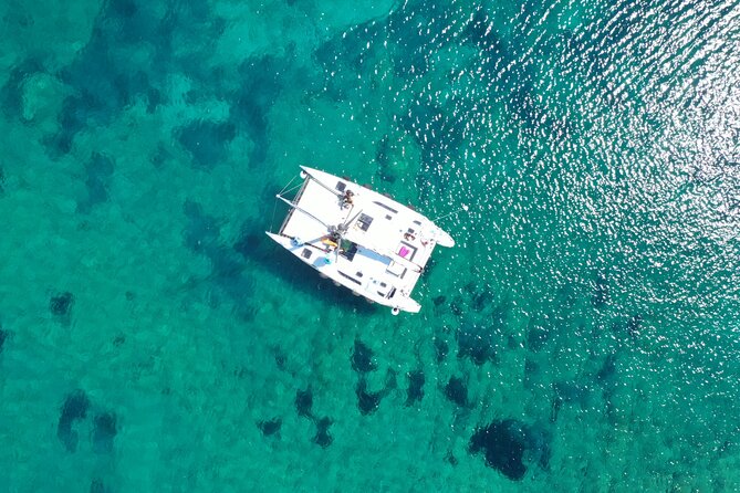 Catamaran excursions in the Asinara island National park