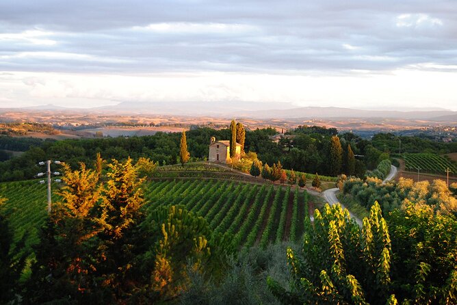 "CLASSIC" Wine Tasting and Typical Tuscan Products