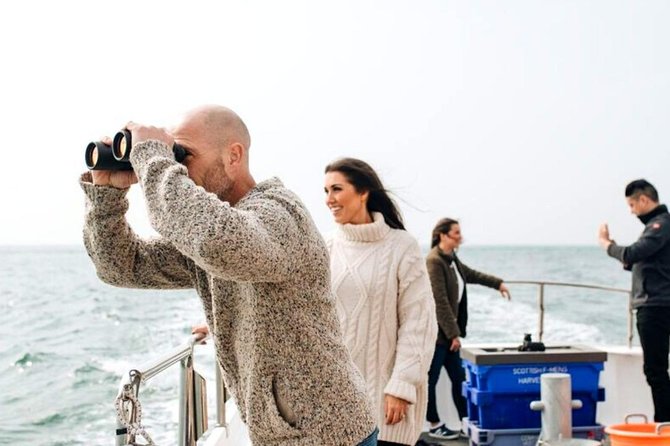 Connemara & Inishturk Island wildlife watching cruise. Private guided Full-day