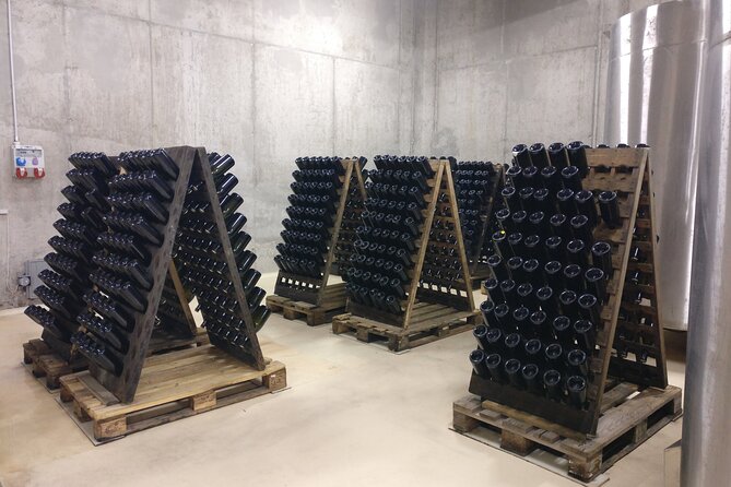 Day trip from Bratislava: Winery Tour with Wine Tasting in the Countryside