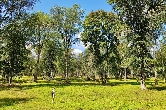 Discover Best Of Gauja National Park In One Day