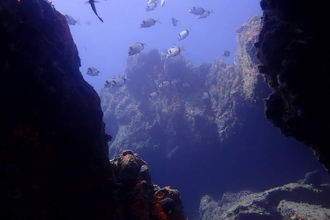 Discover Scuba Diving in Naxos, Greece