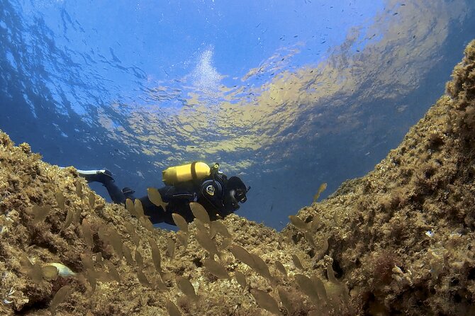 Diving baptism in the Marine Reserve of Cabo Tiñoso