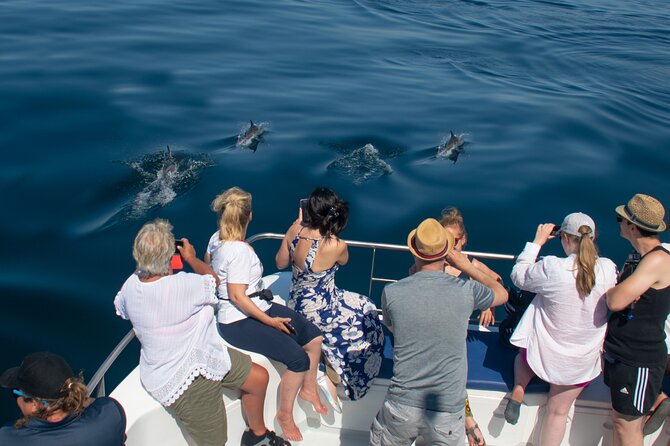 Dolphin Watching Half-Day Cruise from Lagos