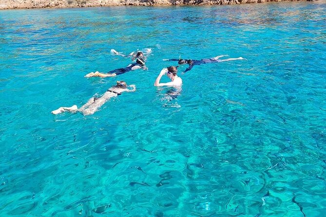 Dolphin Watching Tour with Snorkeling from Olbia