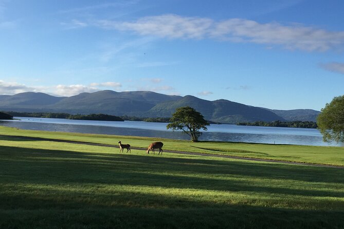 Dublin Airport Private Transfer: Killarney to Dublin Airport