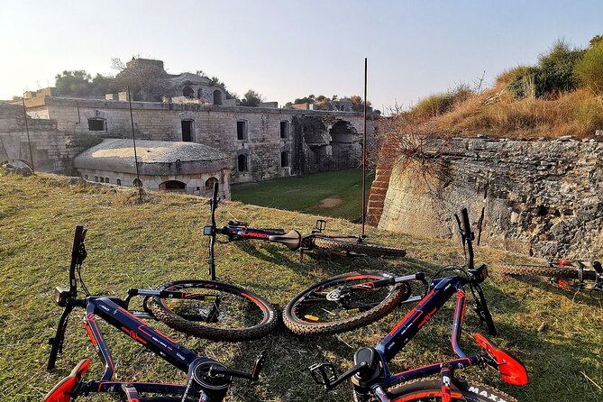 E Bike Tour with wine and olive oil tasting in Vodnjan