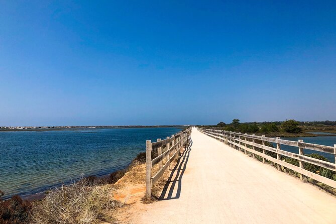 Faro City & Ria Formosa E-Bike Tour