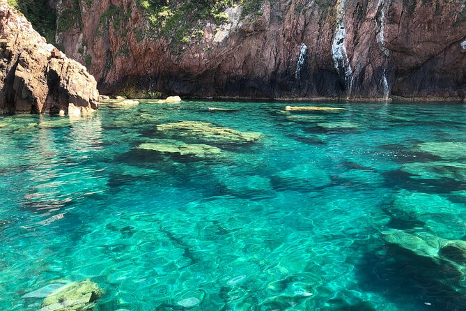 From Sagone/Cargèse: Scandola Calanques Piana Girolata Swimming