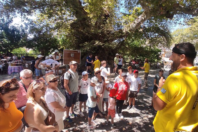 Full Day 4x4 Self-Drive Safari Tour in Crete with BBQ Lunch