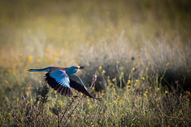 Full-Day Private Wilderness Tour in Vashlovani National Park
