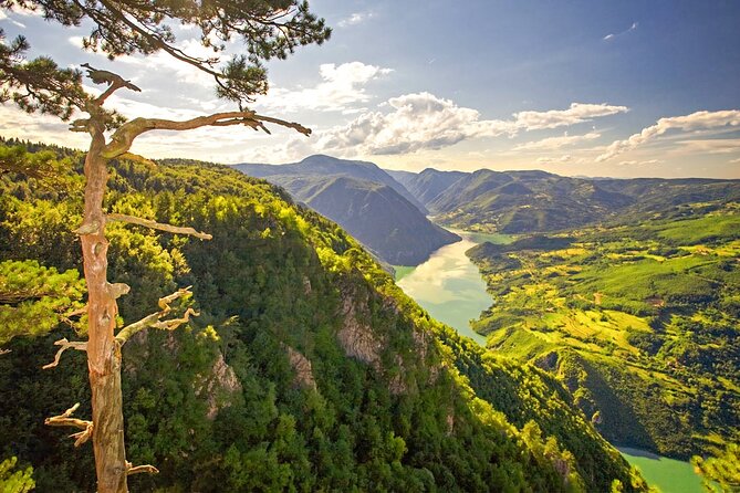 Full Day Trip from Belgrade: The Drina River House And Tara Park Tour