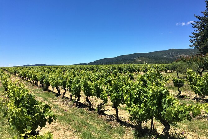 Full-Day Wine Tour around Luberon from Marseille
