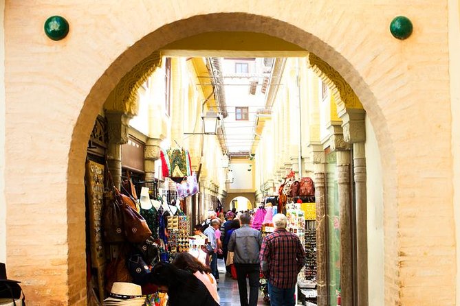 Granada City Center and Albaicin Private Tour