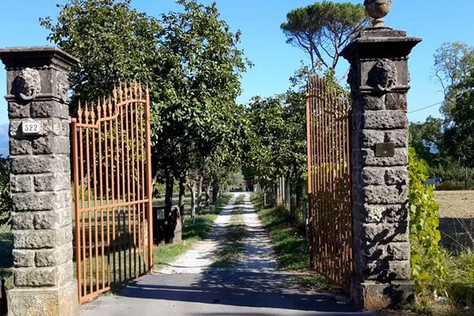Guided E-Bike Tour with Wine Tasting from Lucca